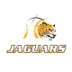 Home page - Bay State Jaguars